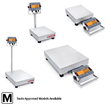 Dynamic Weighing/Display Hold Archives - Scales and Balances